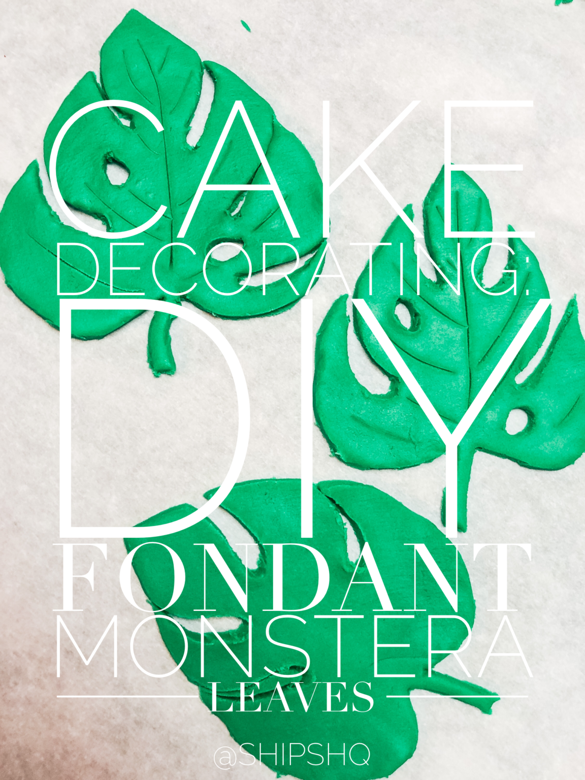 Easy Cake Decorating | Monstera Leaf Tropical Cake – Ship’s HQ